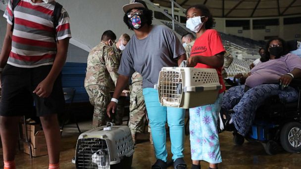Hurricane Laura predicted to hit: How to protect your pets in a storm ...