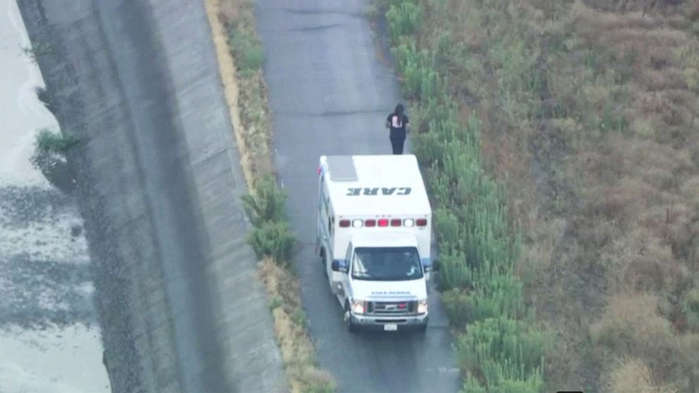 Woman, 2 dogs killed by lightning strike near Los Angeles - ABC News