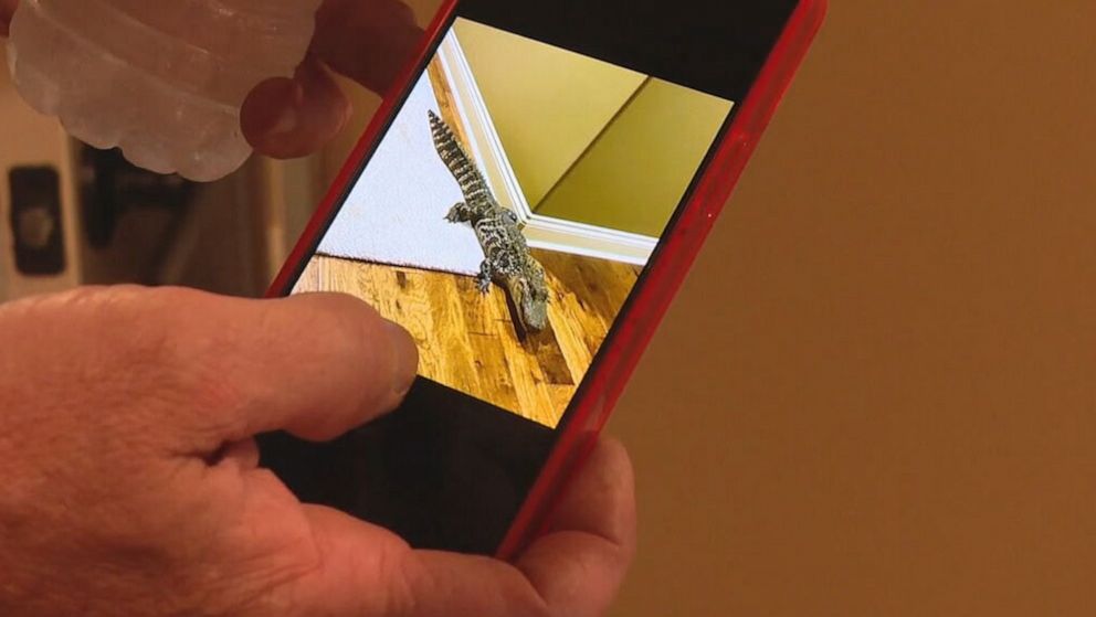 ABCOTV App Shell - ABC7 Los Angeles