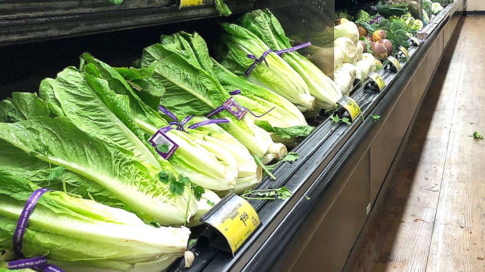 E Coli Outbreak In Romaine Lettuce Connected To A Single Water