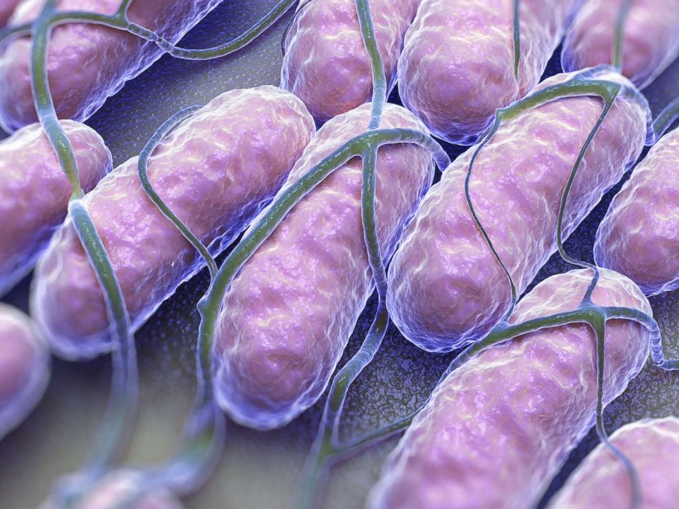 People With Salmonella