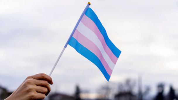 Federal judge blocks trans care ban that would make providing care a ...