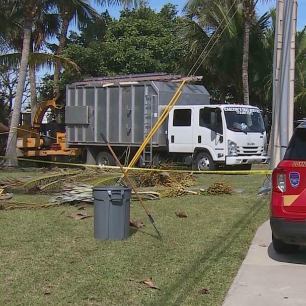 Wood Chipper Accident Florida