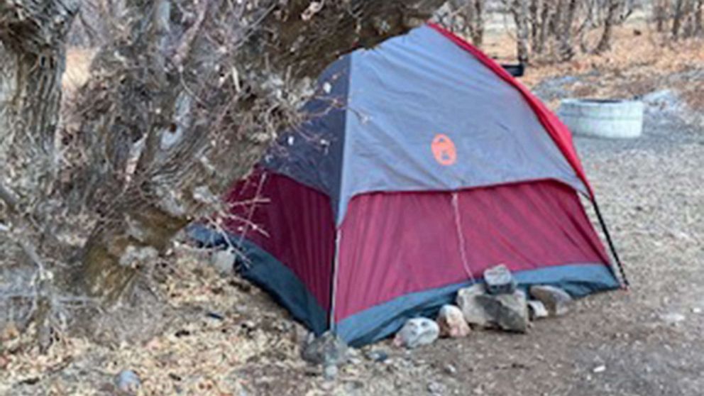 Woman missing for months found alive; foraged for grass, moss to ...