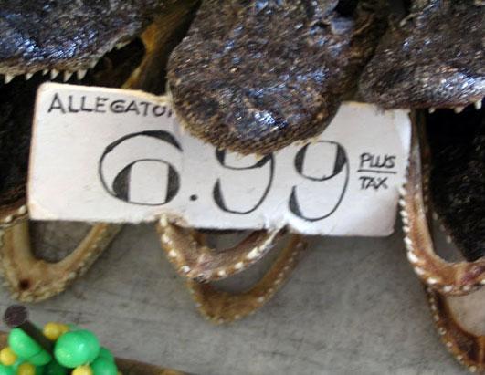 Typo Picture | 'The Great Typo Hunt' Quiz: Can You Spot Grammar ...