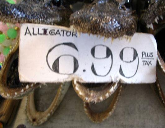 Typo Picture | 'The Great Typo Hunt' Quiz: Can You Spot Grammar ...