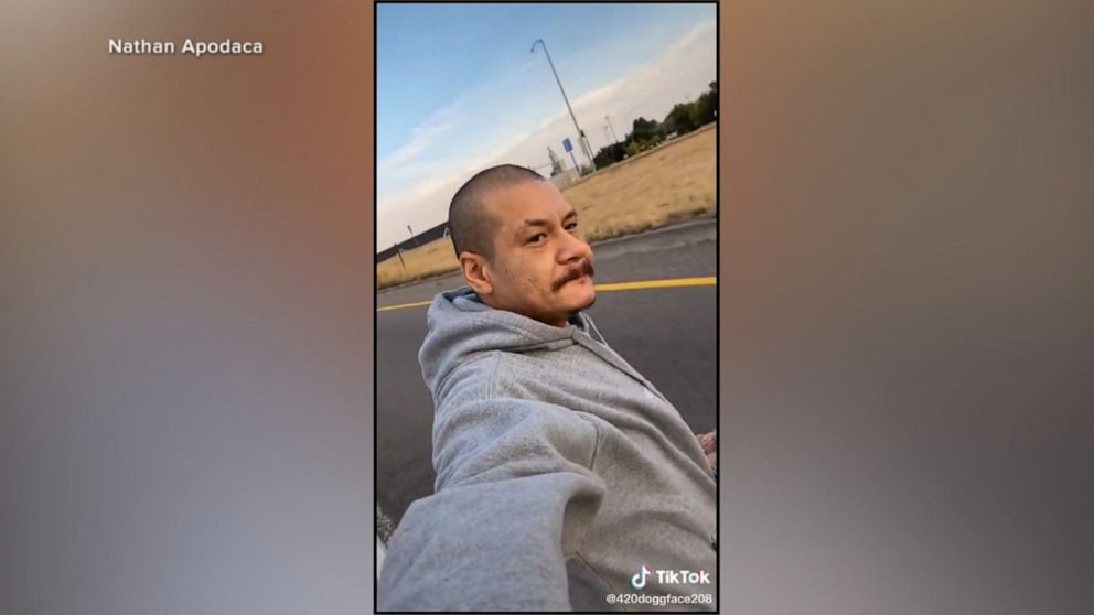 TikTok celebrates its most popular videos of 2020. Here are the top 10 ...