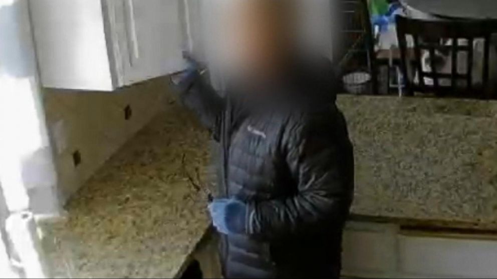 Video Nanny Cam Catches Alleged Thief In The Act During A Realtors