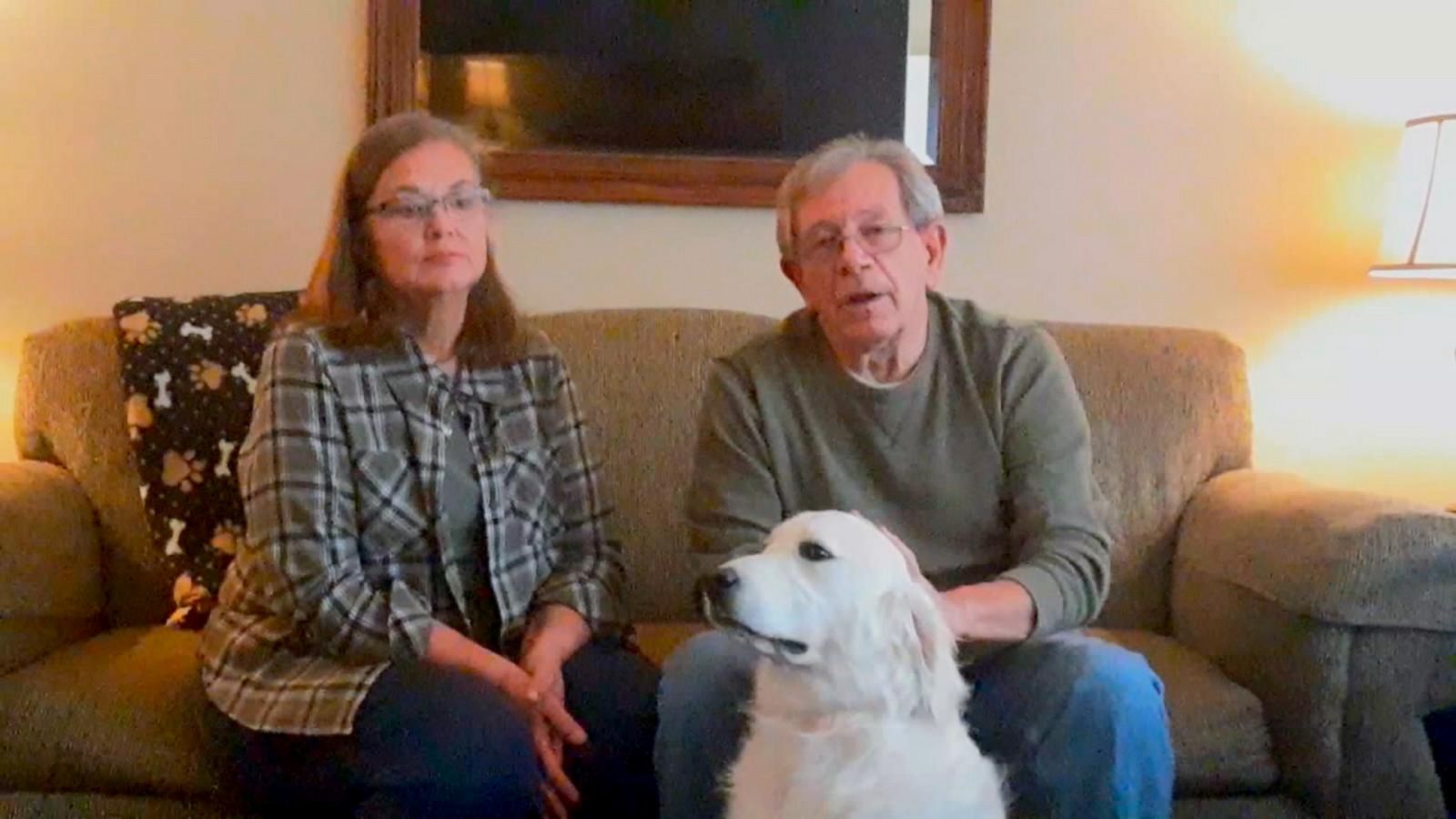 Dog rescued with help of town after 10 days in woods - Good Morning America