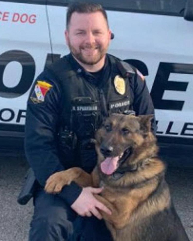 Police Dogs Attacking Criminals